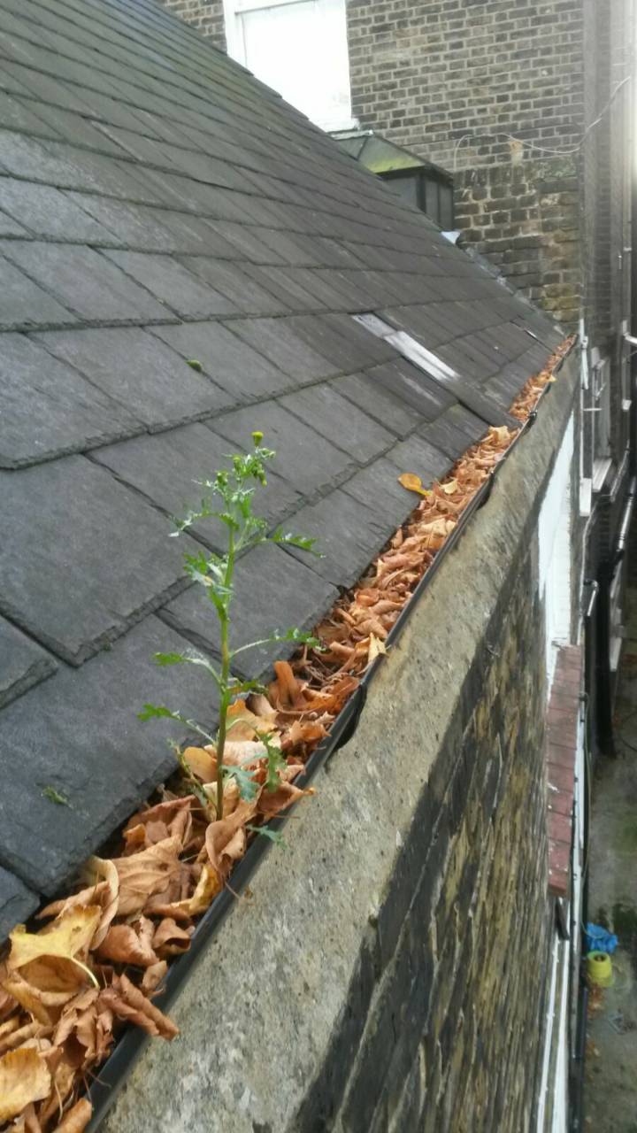 All Guttering Ltd | View the Picture Gallery from our completed projects